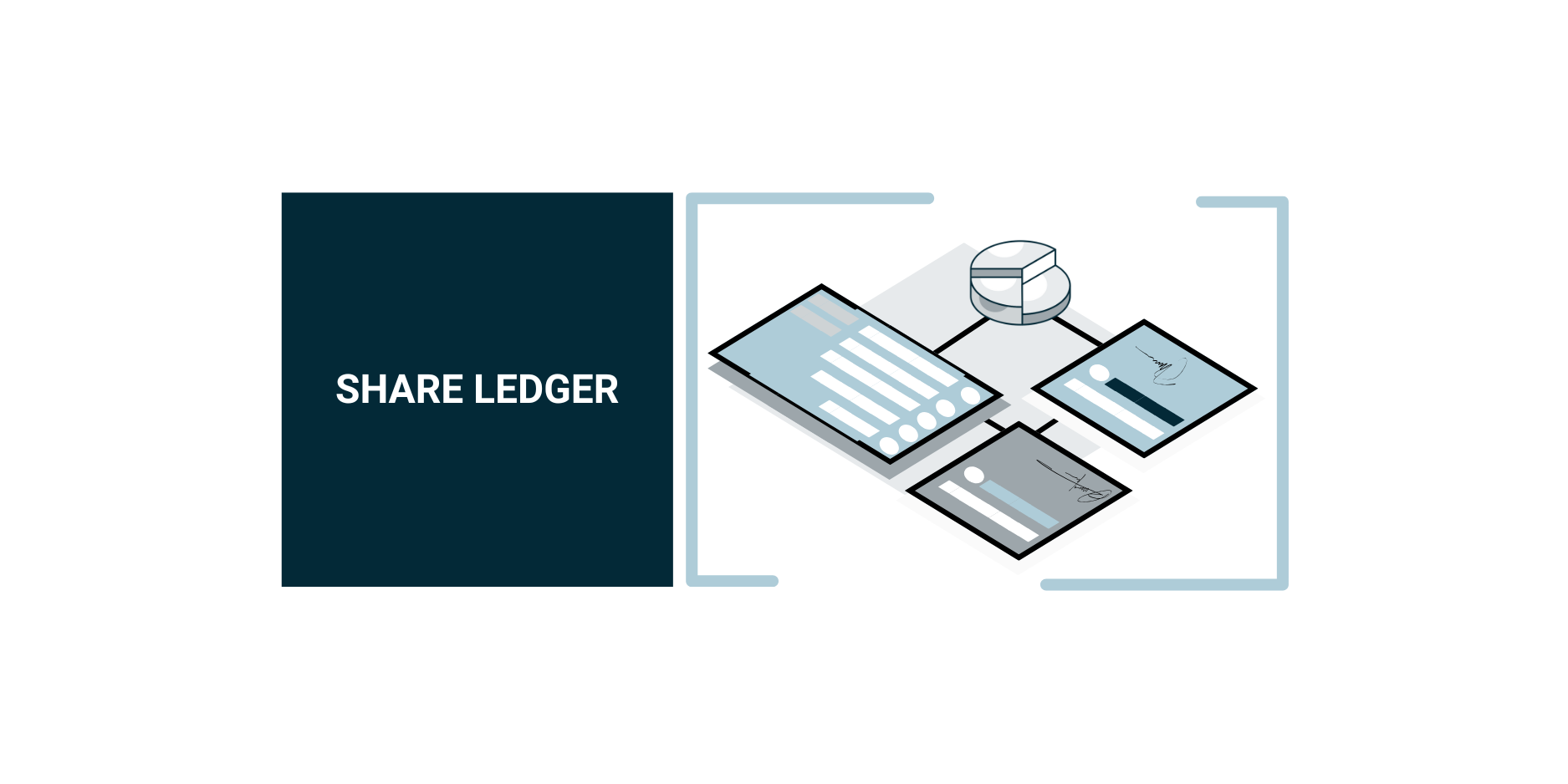 Focus on the share ledger